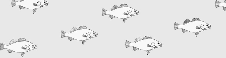 Do you know what a " Ghoti" is? - ABA Journal