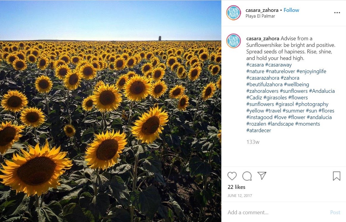 The most popular hashtags in English: The best of 2019