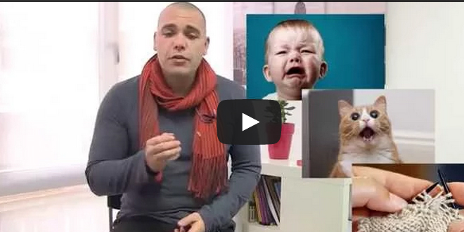 Comment passer le TOEFL